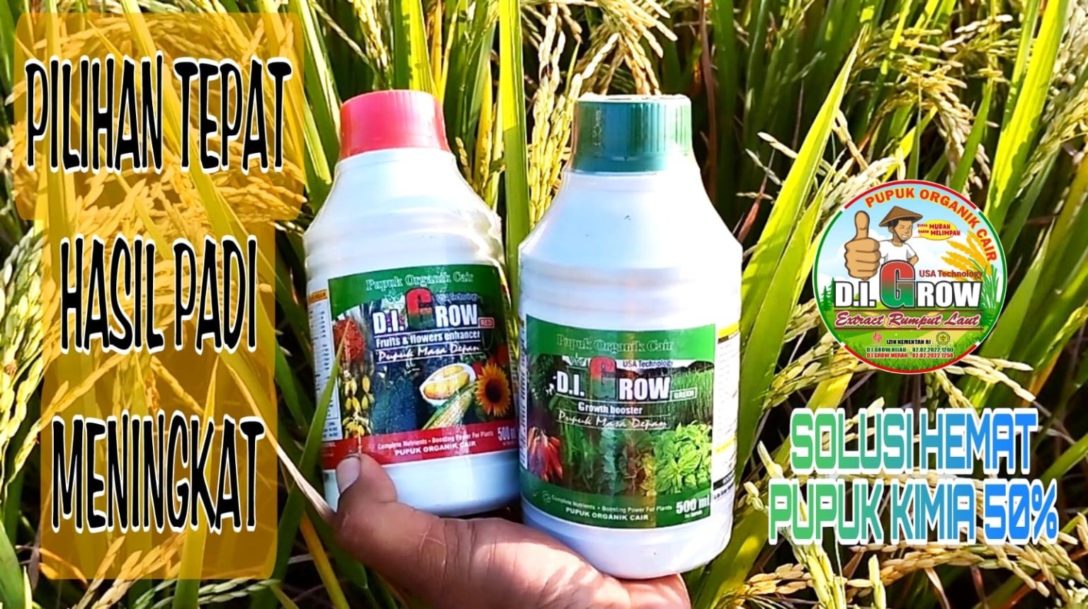 APLIKASI DIGROW NYATA TINGKATKAN PANEN PADI - DI GROW—Situs Resmi