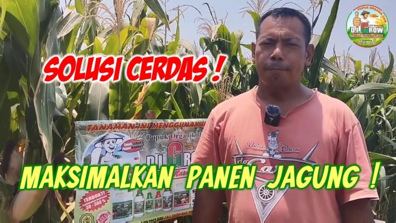 Pupuk DI.Grow : Solusi Cerdas untuk Produktivitas Maksimal Tanaman ...