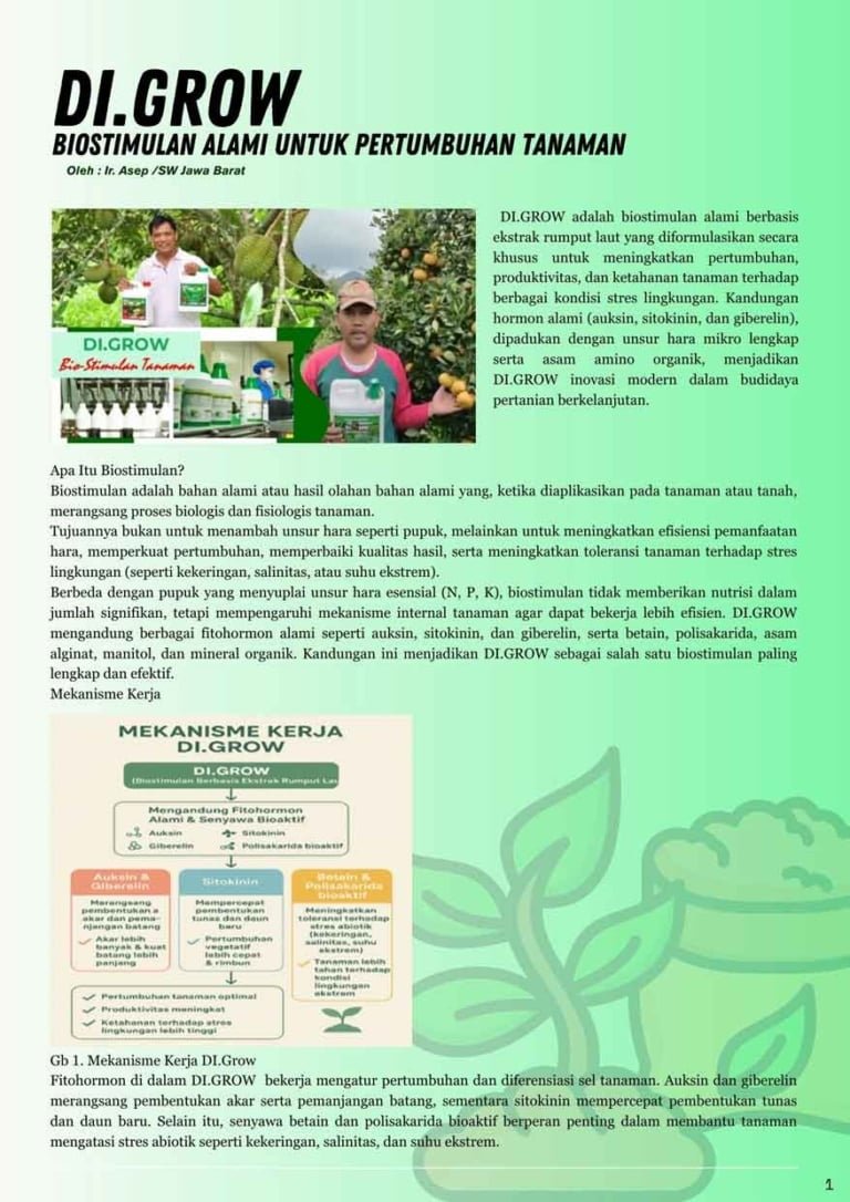 E-Bulletin DI.Grow November 2025 - DI GROW—Situs Resmi
